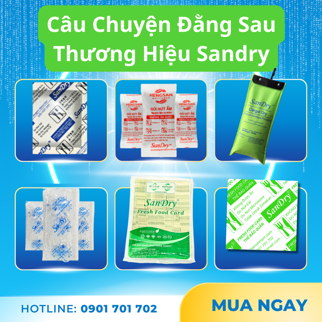 Câu Chuyện Đằng Sau Thương Hiệu Sandry