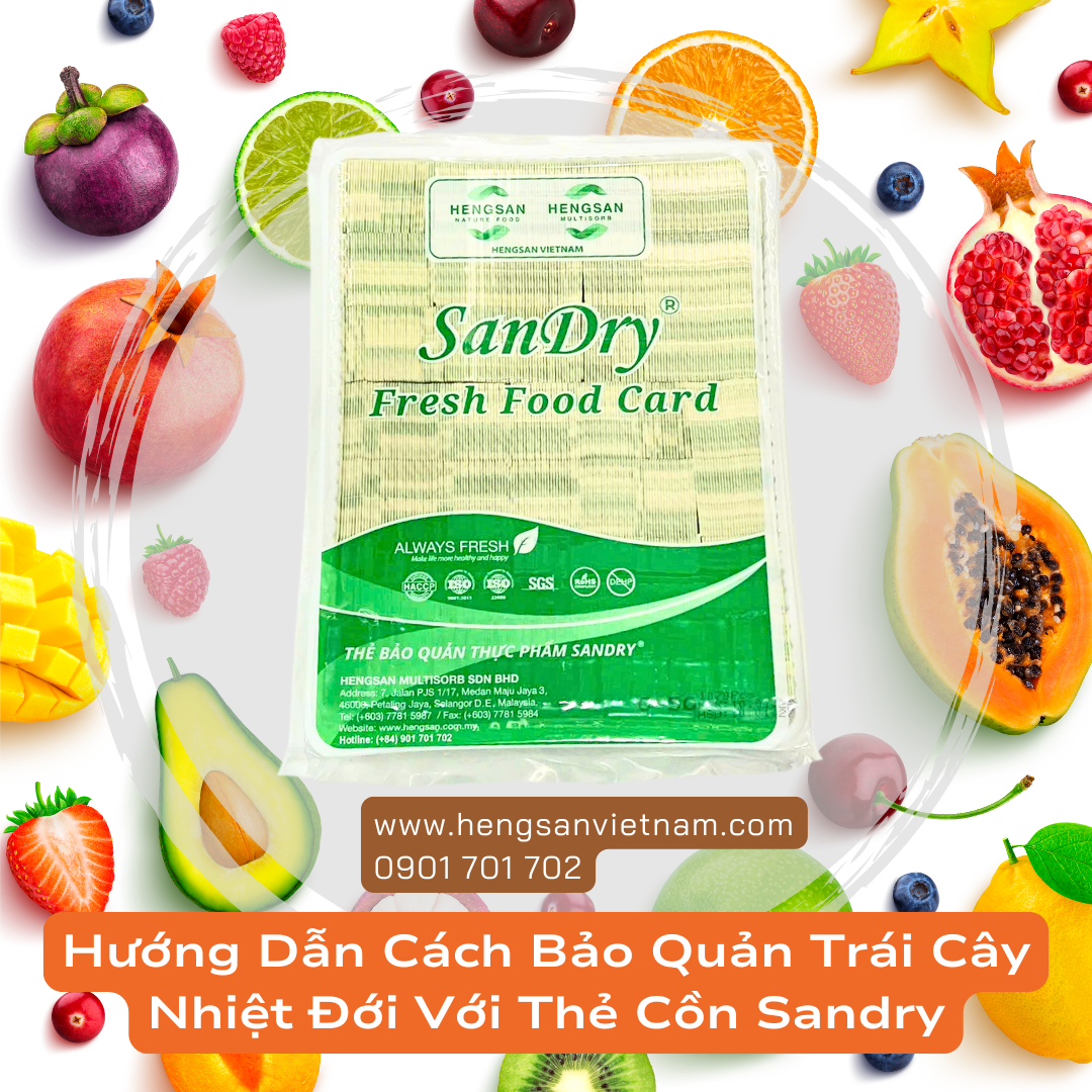 Hướng Dẫn Cách Bảo Quản Trái Cây Nhiệt Đới Với Thẻ Cồn Sandry